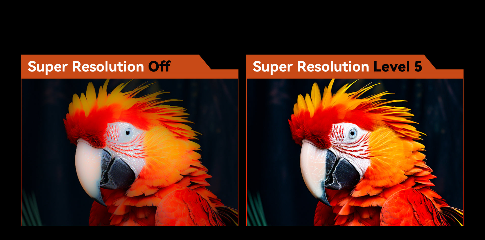 TITAN ARMY P2510S PLUS Gaming Monitor – TITAN-ARMY